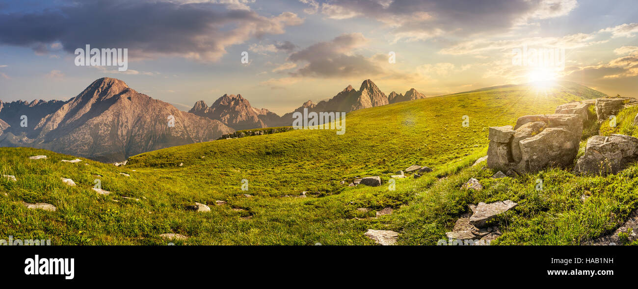 Hight Tatra mountain summer landscape. meadow with huge stones among ...