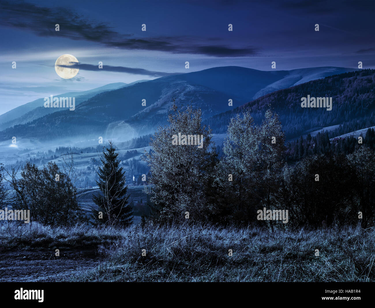 cold fog at night in the mountainous rural area. trees with foliage ...
