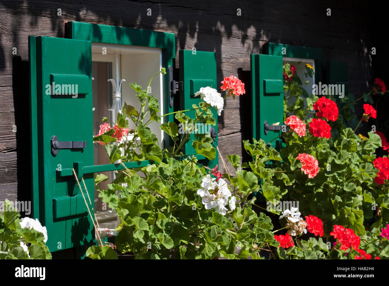 Vintage windows with flowers on old wood house in south Styria, Austria ...