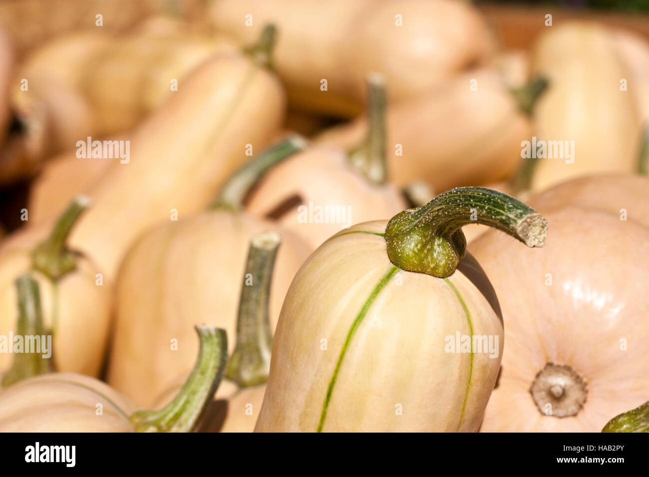 Outdoor farmers hi-res stock photography and images - Alamy