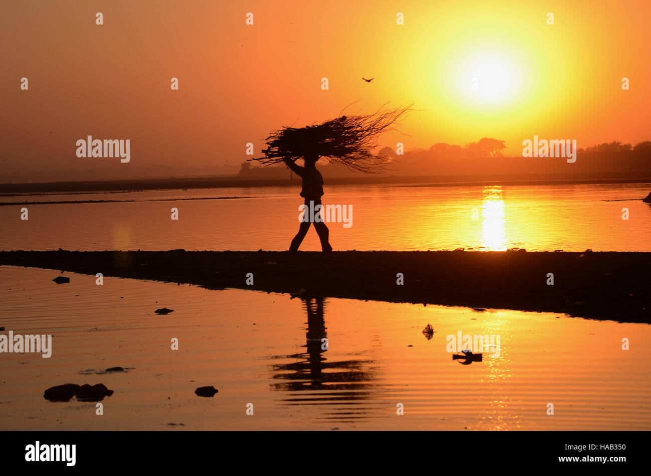 Lahore, Pakistan. 28th Nov, 2016. Pakistani gypsy family member ...