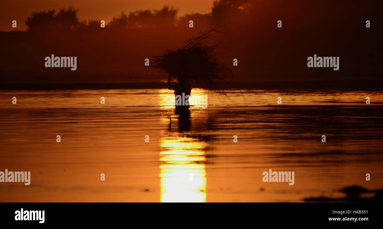 Lahore, Pakistan. 28th Nov, 2016. Pakistani gypsy family member ...