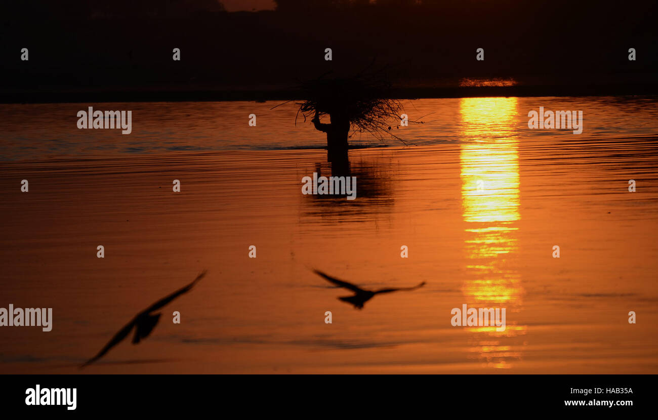 Lahore, Pakistan. 28th Nov, 2016. Pakistani gypsy family member ...