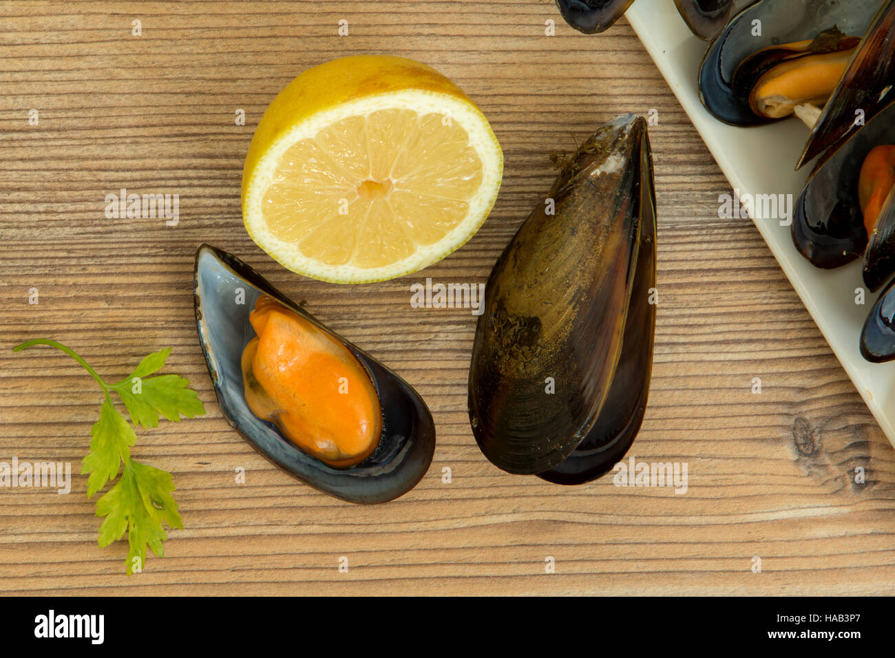 From the sea to the table. Delicious mussel dish Stock Photo - Alamy