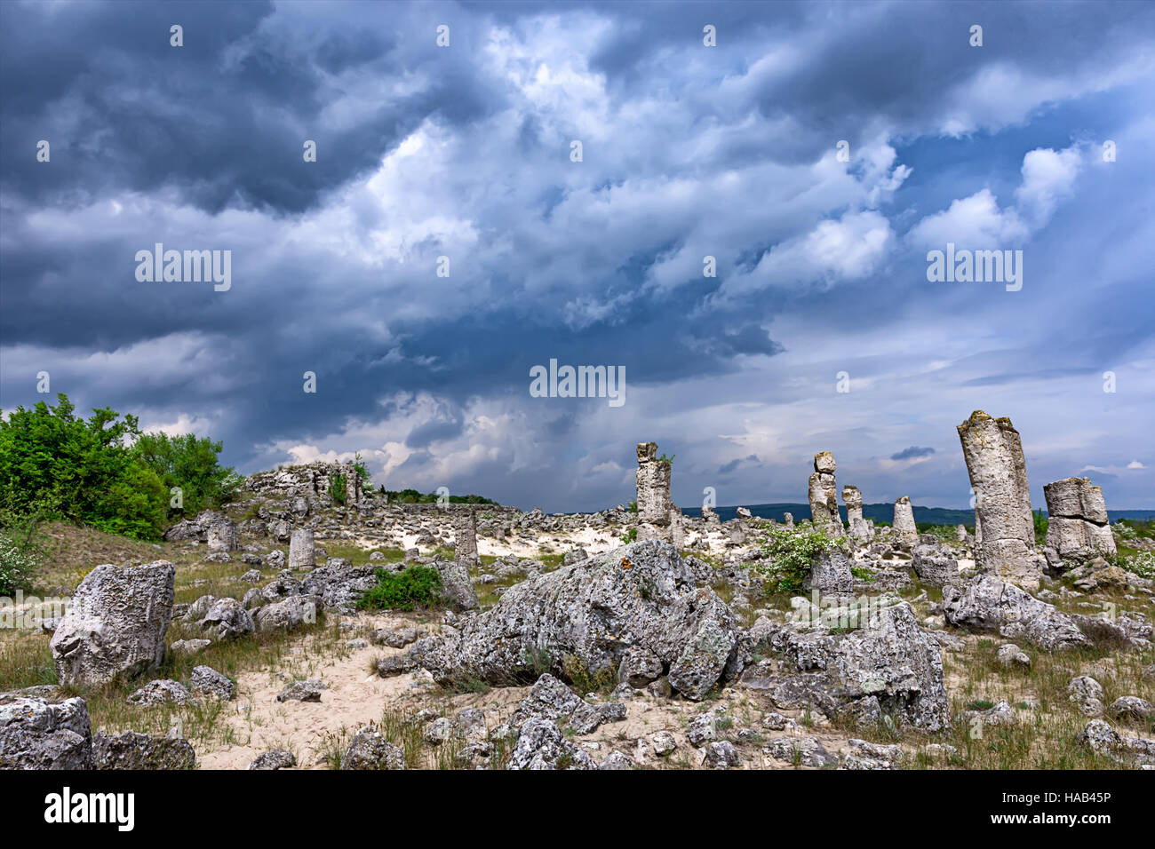 Stone Forest Beautiful view with the famous rock formation Stone Forest ...