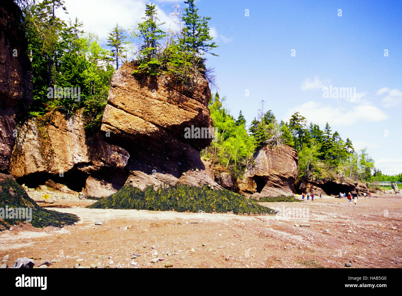 Brunswick islands hi-res stock photography and images - Alamy