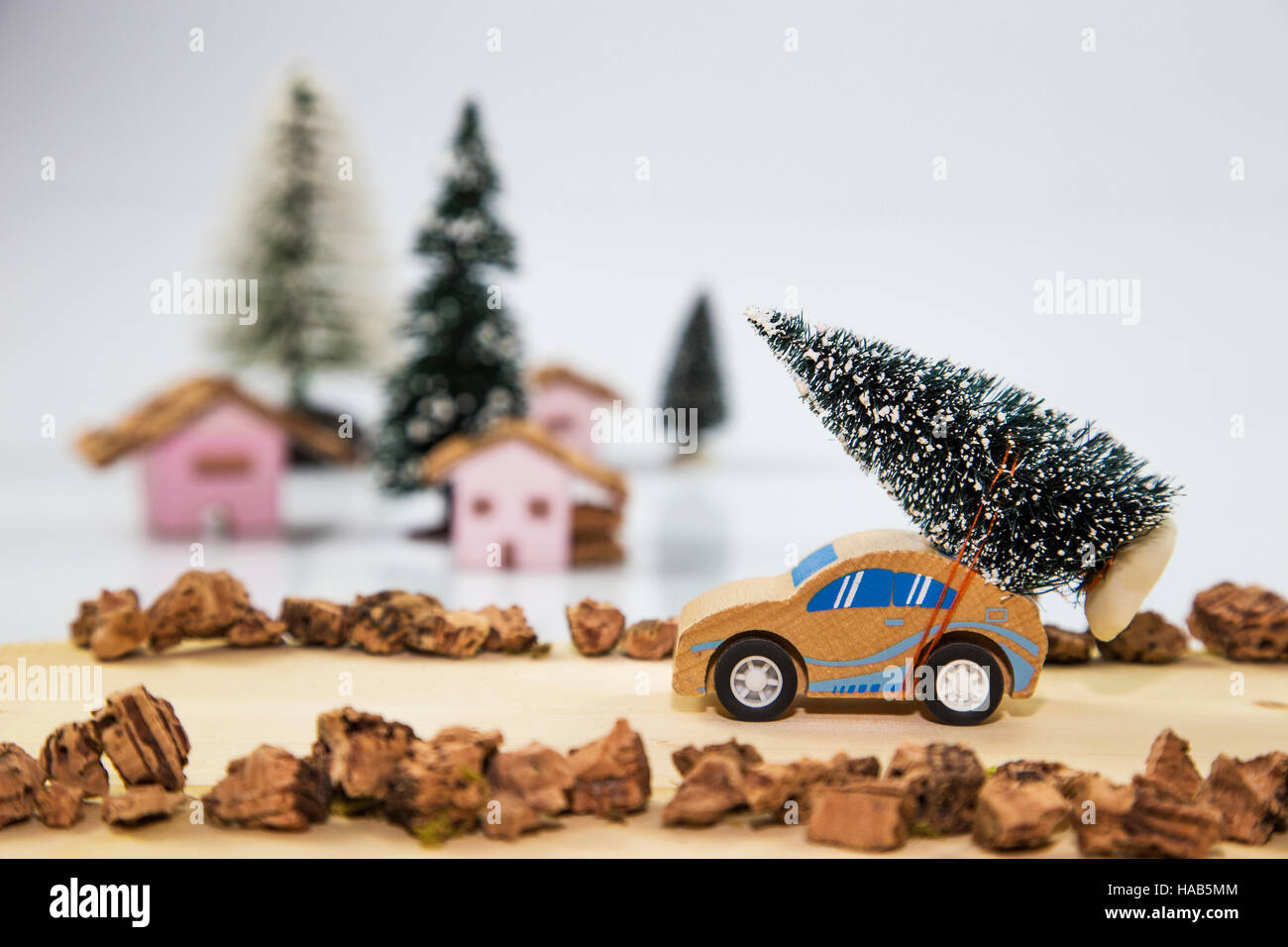Car carrying tree hi-res stock photography and images - Alamy
