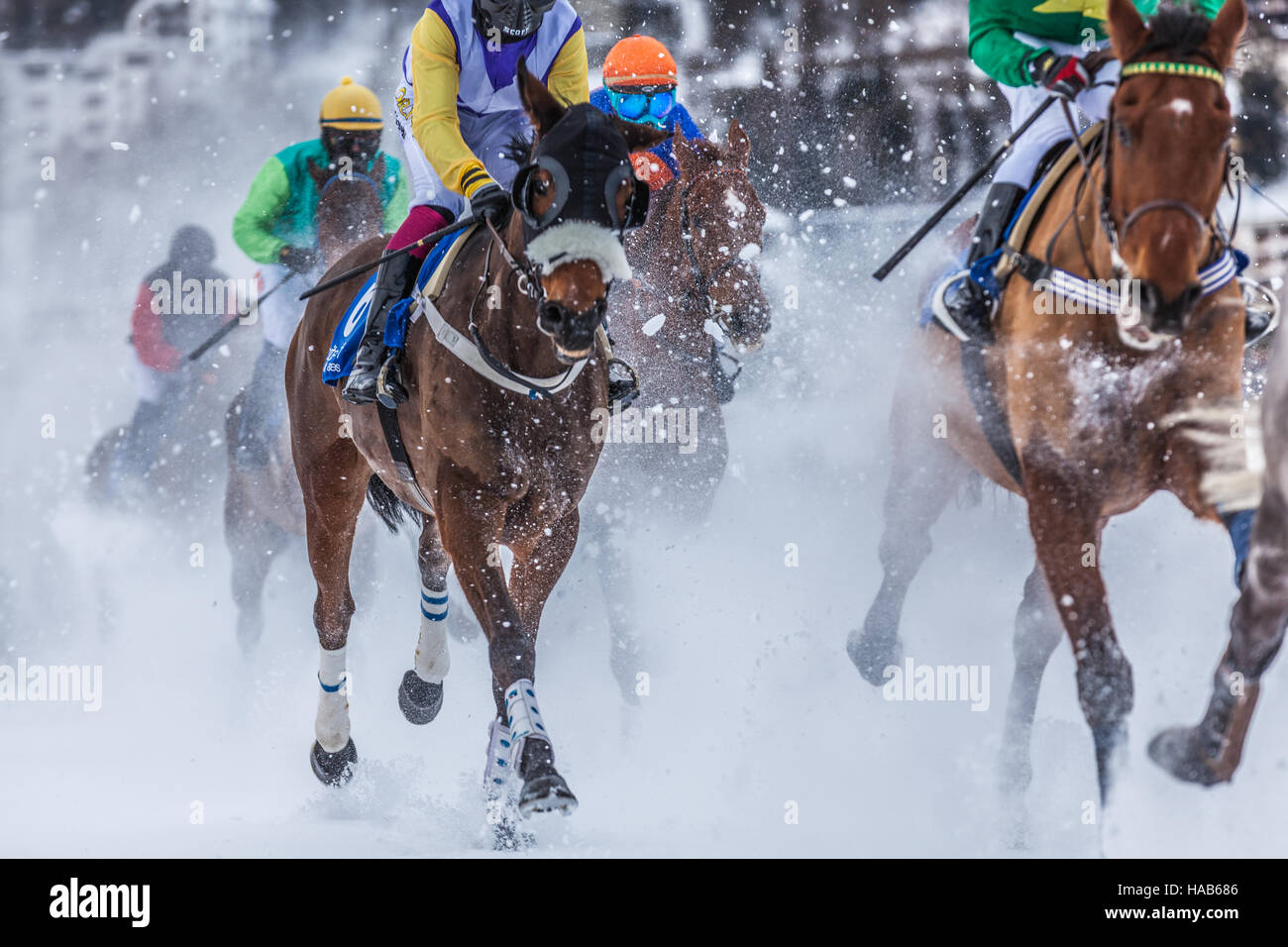 White Turf, a unique, exclusive, top-class event with exciting horse ...