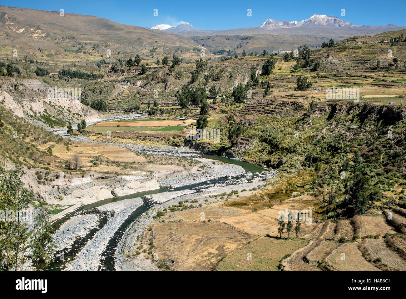 Colca River, agricultural terraces and Nevado Hualca Hualca Volcano in ...