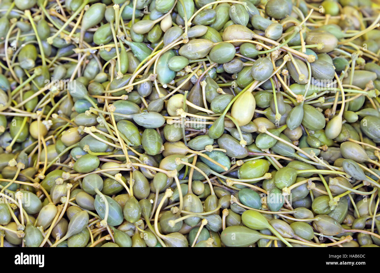 ripe Capers for sale in fruit and vegetable store in southern Italy ...