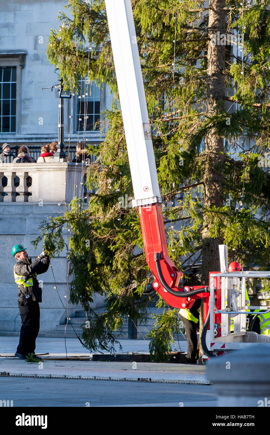 Installing a christmas tree hi-res stock photography and images - Alamy