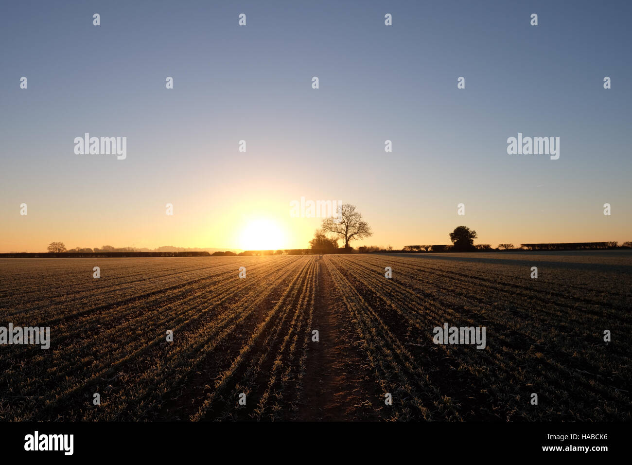 Sunrise on a very cold and frosty morning as winter comes to the east ...
