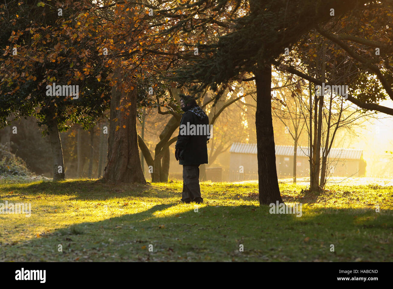 North London, UK. 29th Nov, 2016. A very cold and frosty morning in ...