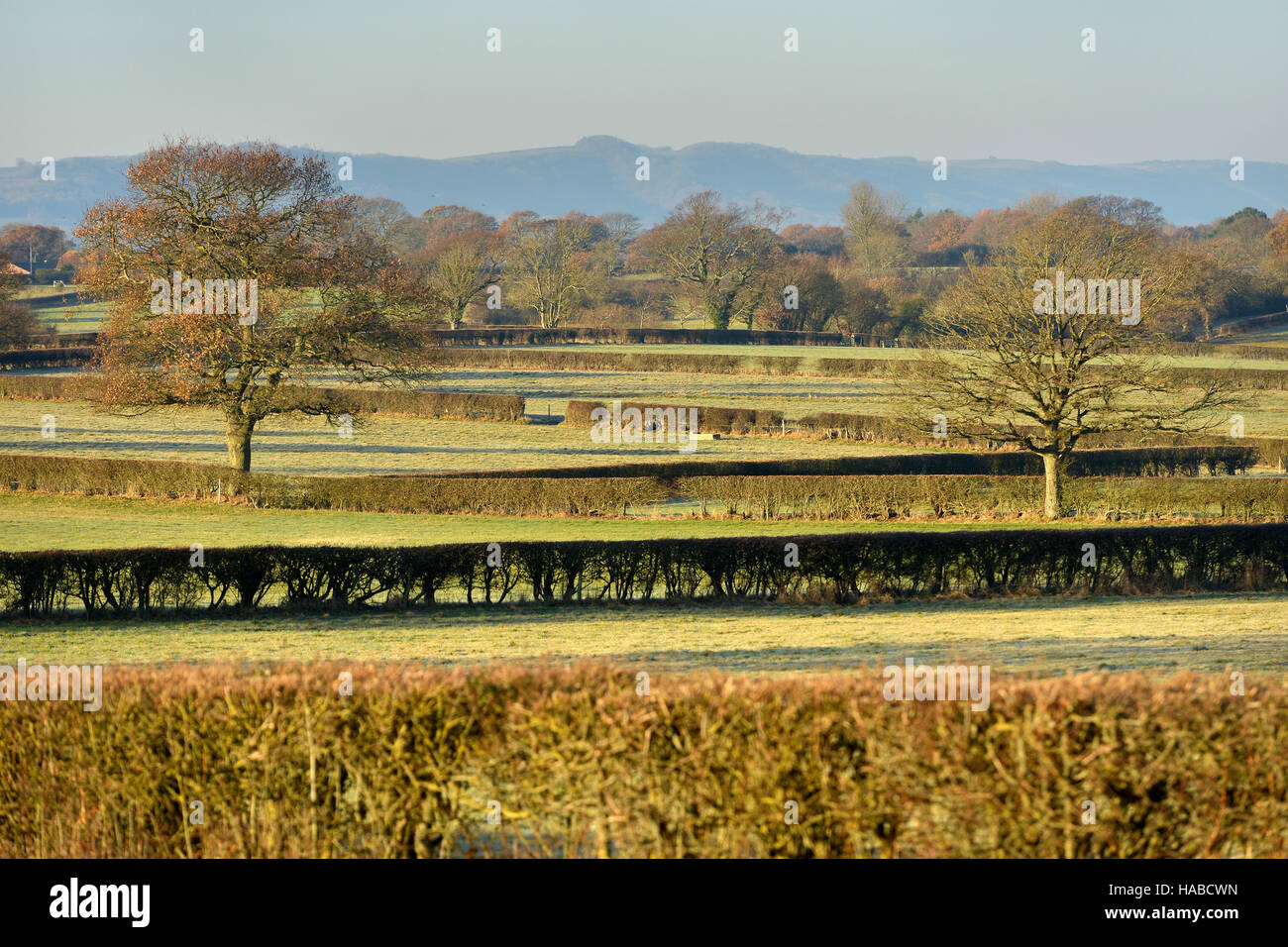 Sussex countryside in winter showing hedgerows and South Downs Stock ...