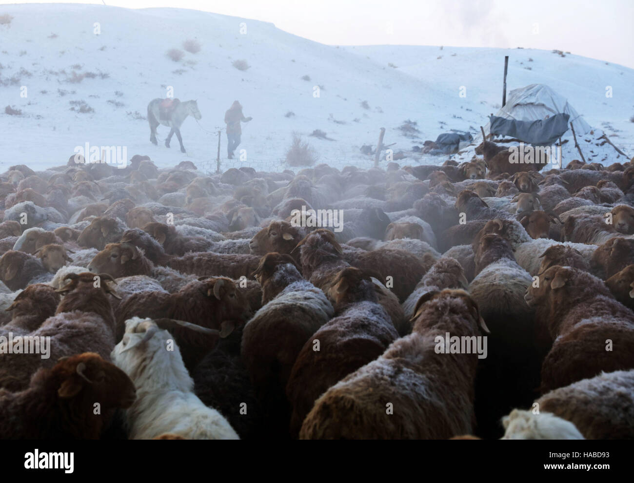 Altay, China's Xinjiang Uygur Autonomous Region. 28th Nov, 2016 ...
