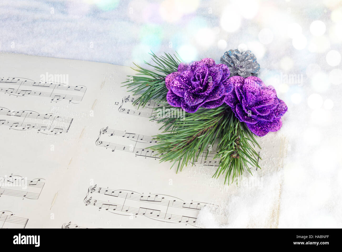 Pine Tree Purple High Resolution Stock Photography and Images - Alamy