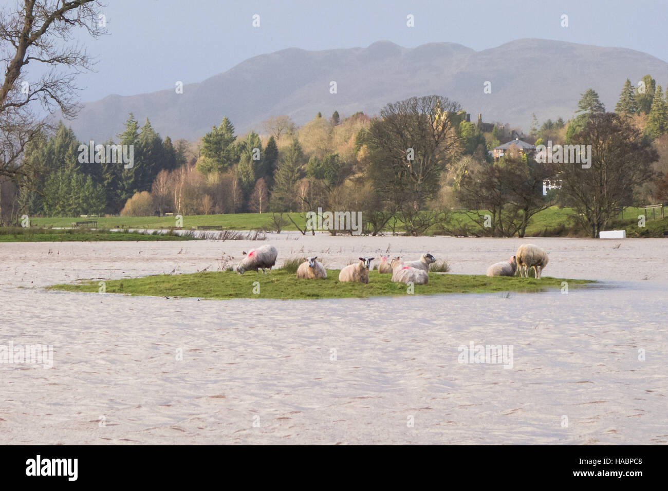 Flooding in scotland hi-res stock photography and images - Alamy