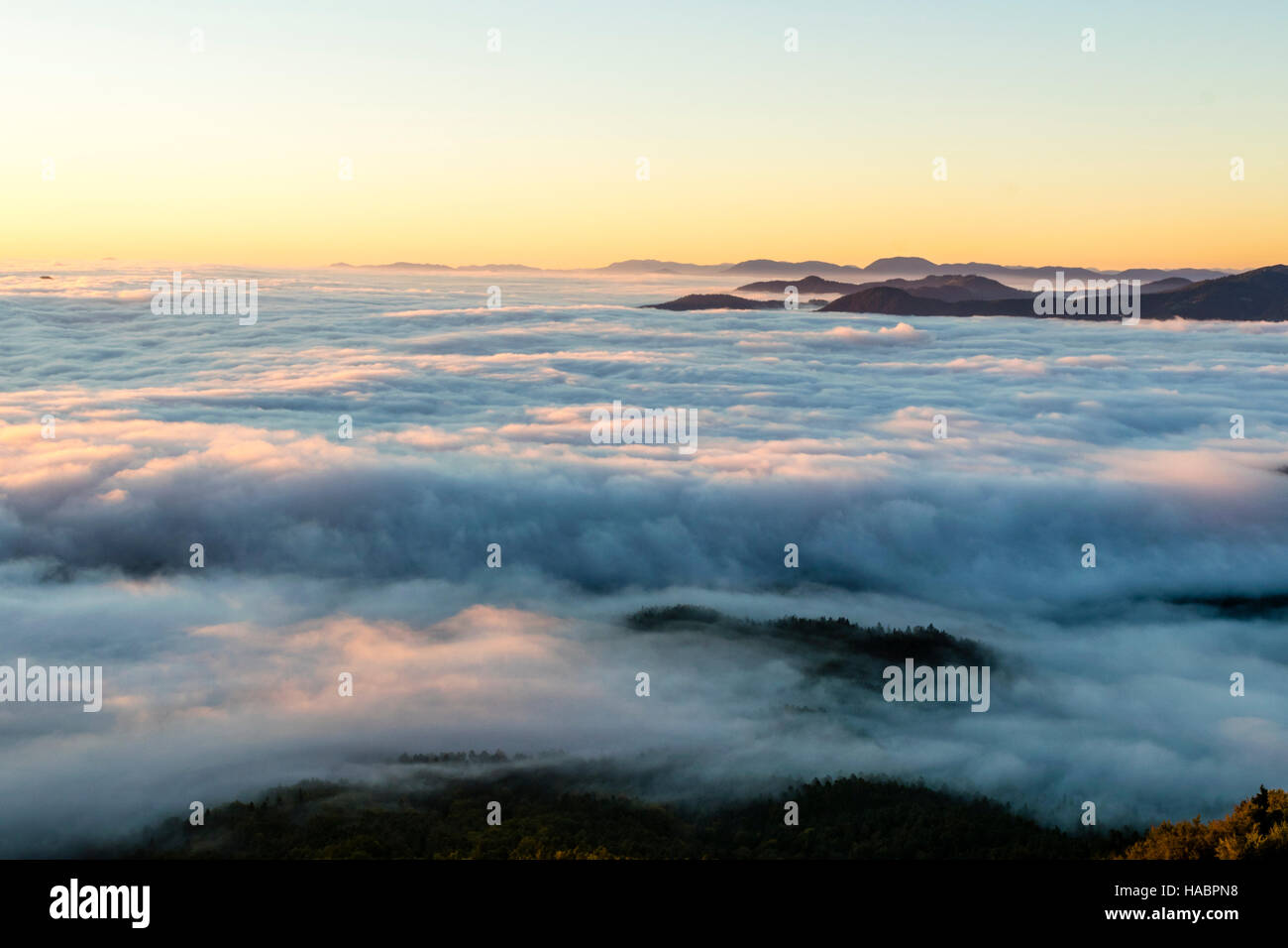 Magnificent heavy mist in Slovenia Stock Photo - Alamy