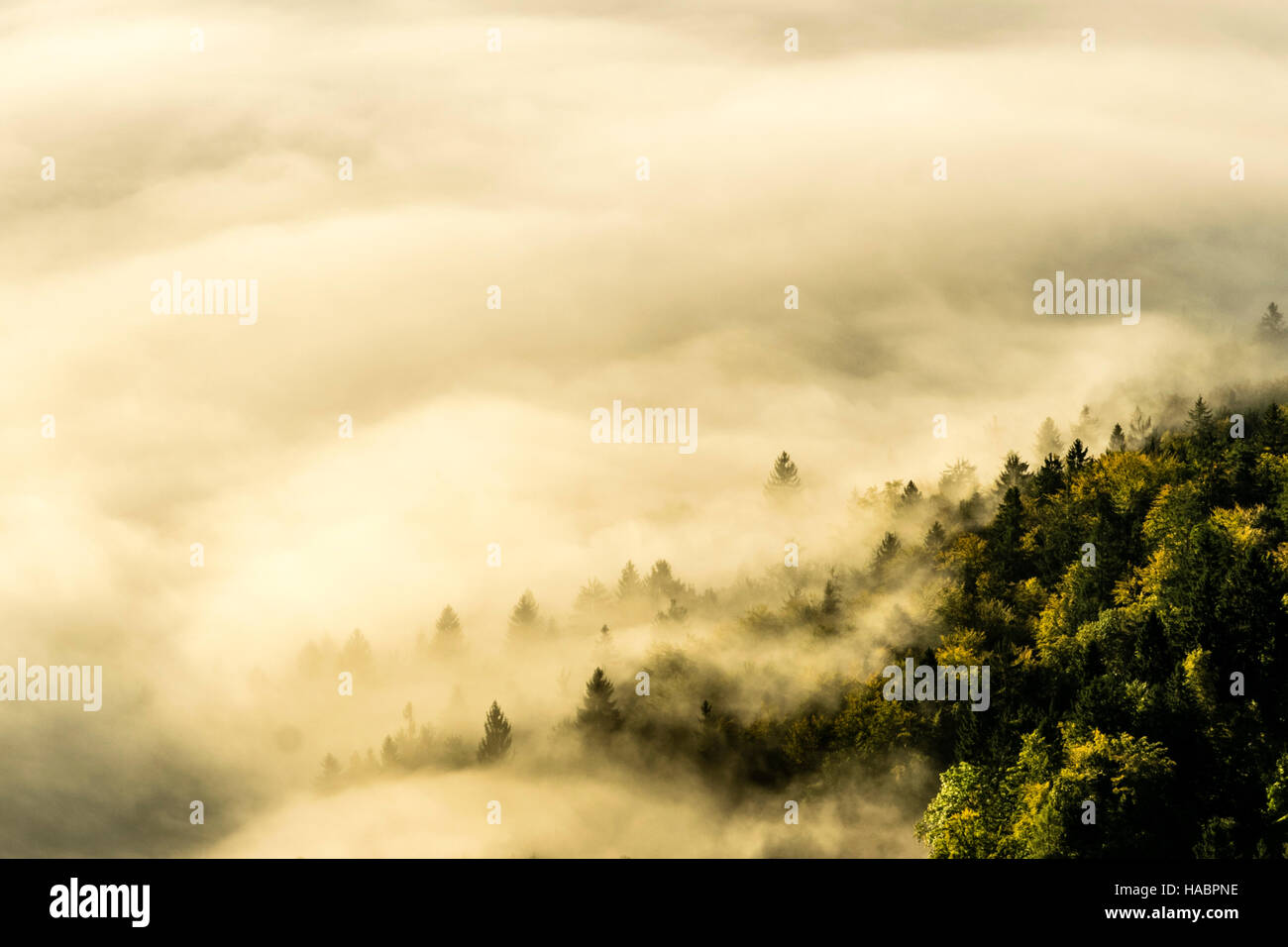 Heavy autumn mist hi-res stock photography and images - Alamy