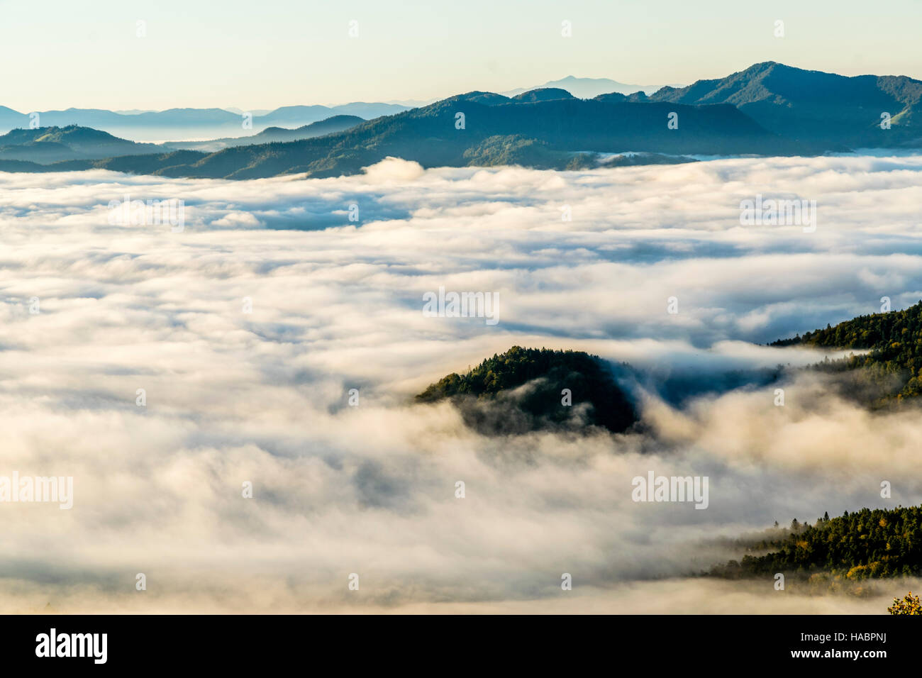 Magnificent heavy mist in Slovenia Stock Photo - Alamy