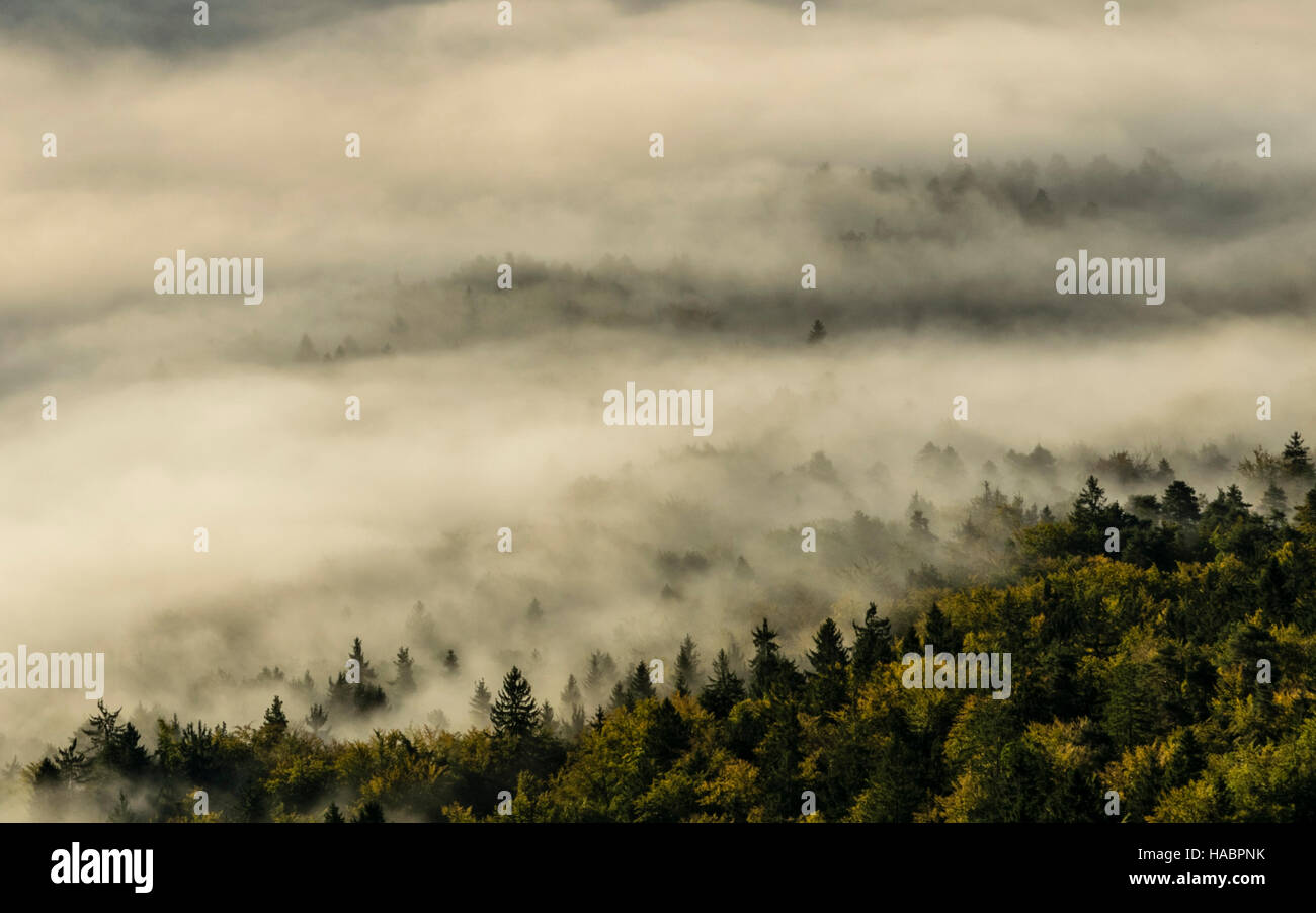 Magnificent heavy mist in Slovenia Stock Photo - Alamy