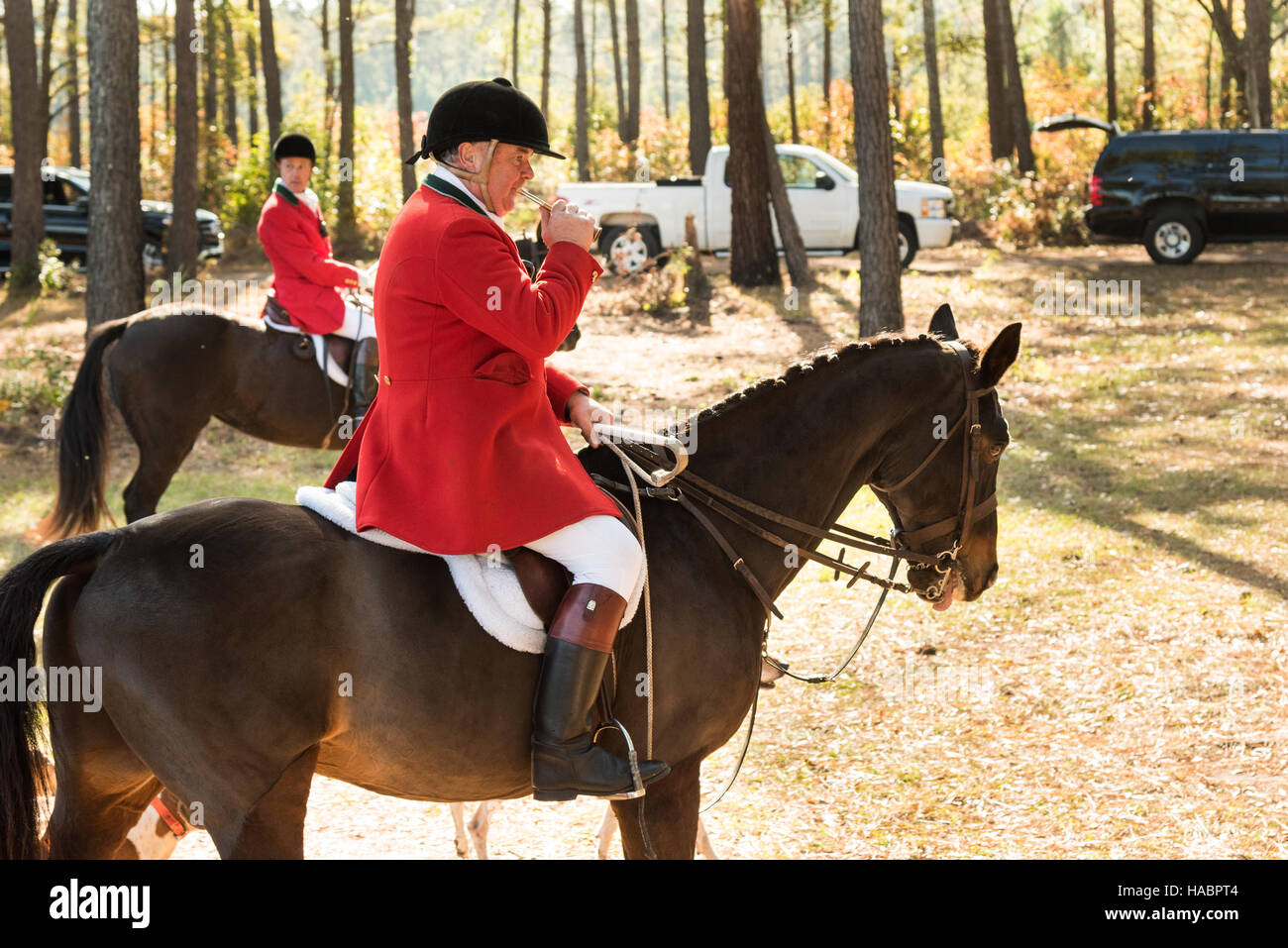 Huntsman Willie Dunn gathers the hounds during the first hunt of the ...
