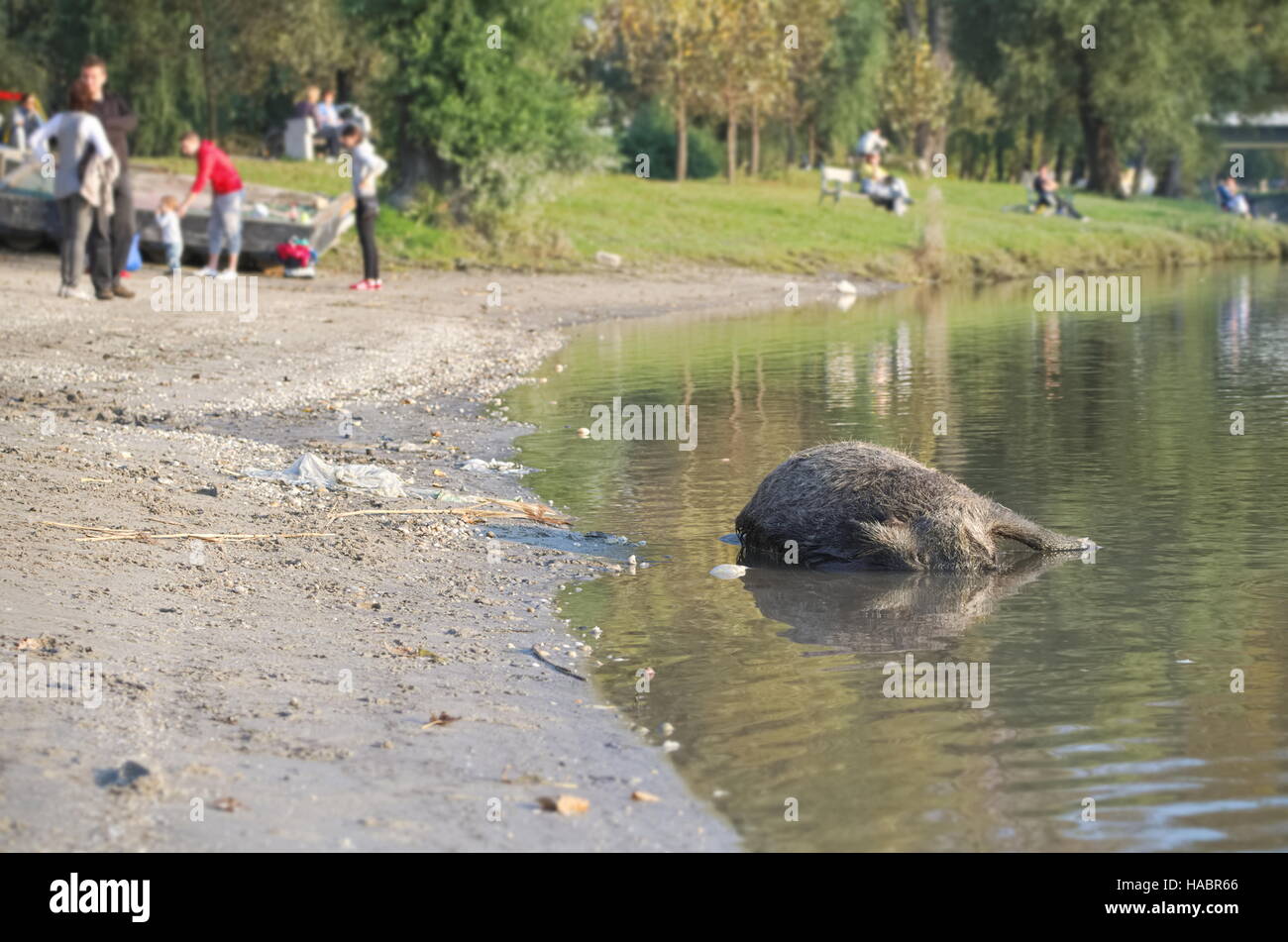 Drowned corpse hi-res stock photography and images - Alamy