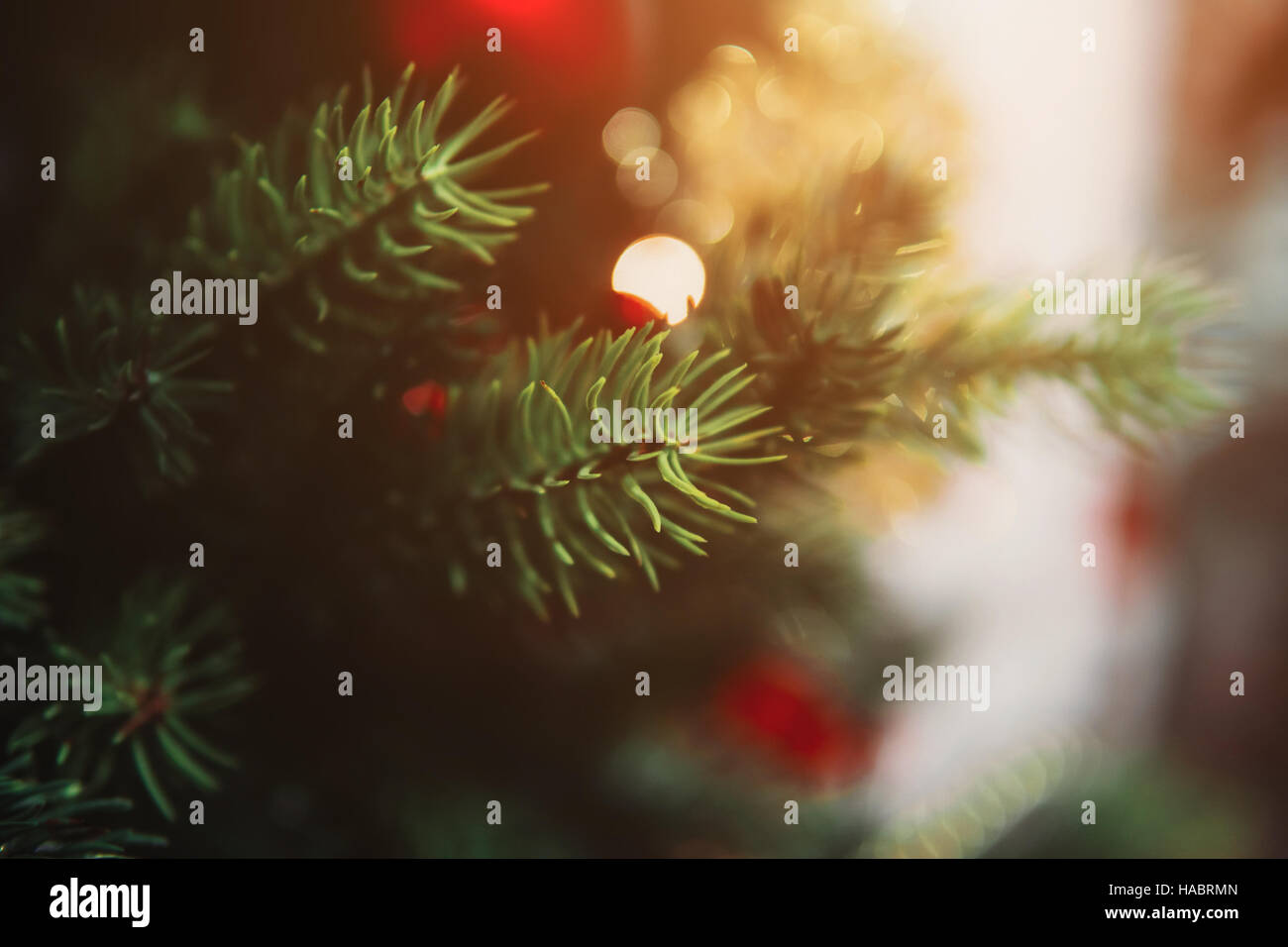 Christmas tree branch with toys Stock Photo - Alamy
