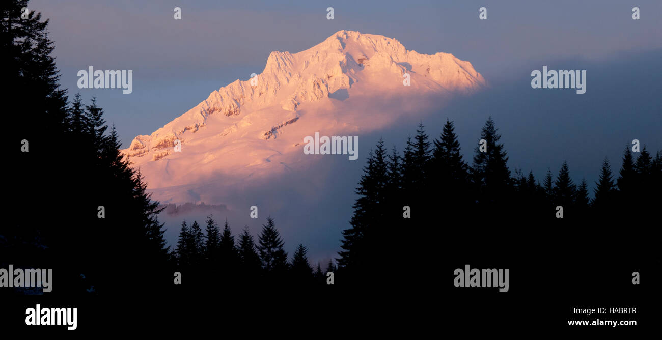 Sunset on Mt. Hood, Oregon, winter Panorama, mist rising Stock Photo ...