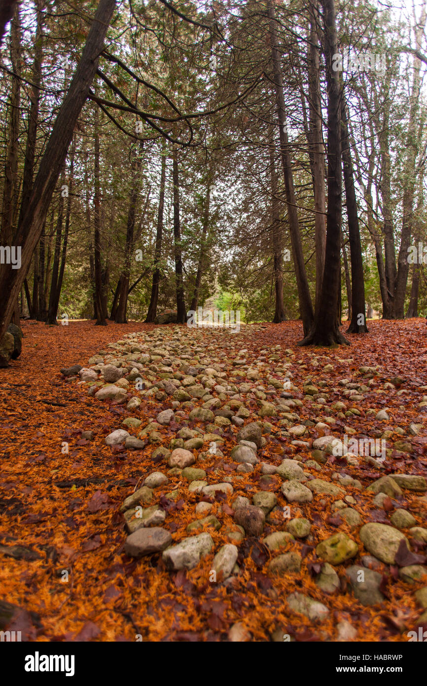 Mark gorge hi-res stock photography and images - Alamy