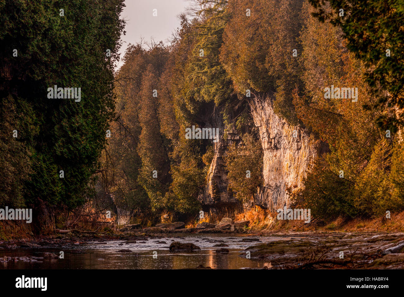 Elora gorge hi-res stock photography and images - Alamy