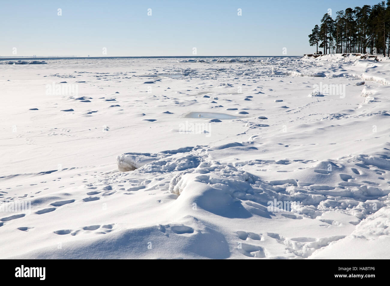winter sea bay with white snow over ice surface and forest and blue sky ...