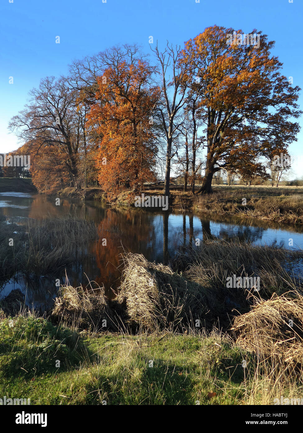 grounds and estate of stately home Stock Photo - Alamy