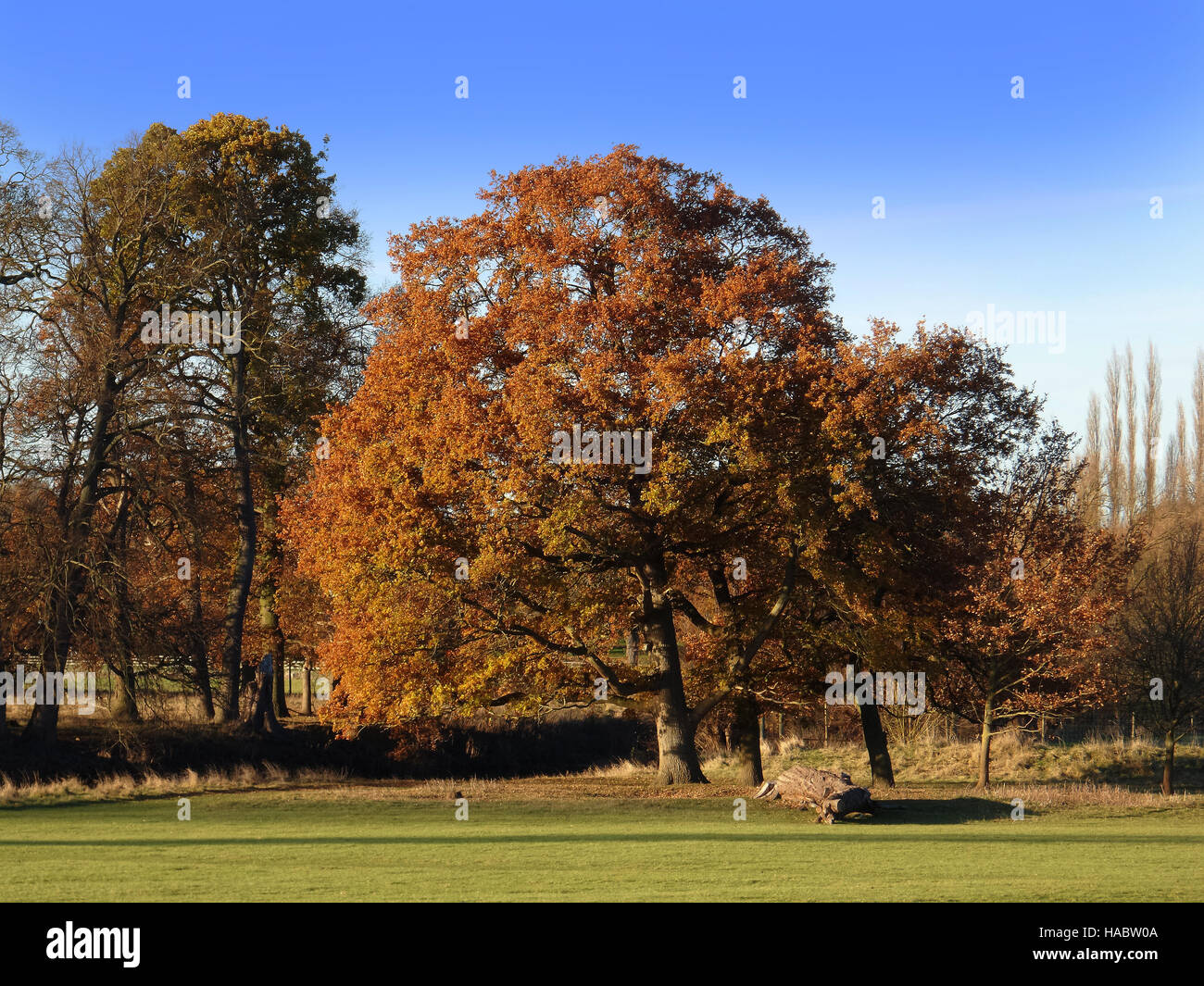 grounds and estate of stately home Stock Photo - Alamy