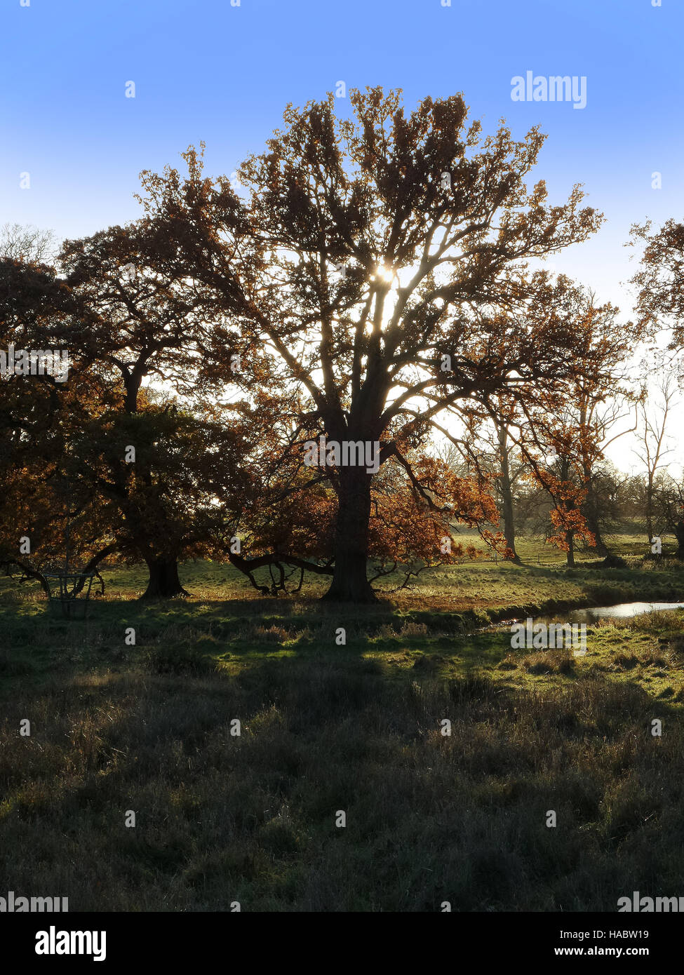 grounds and estate of stately home Stock Photo - Alamy