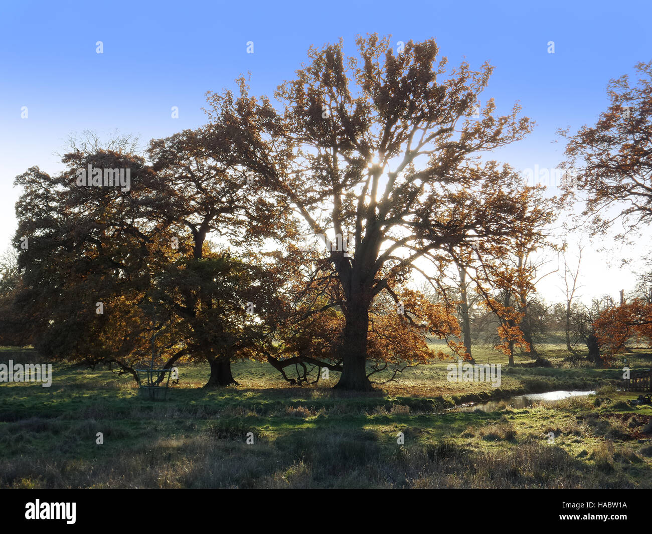 grounds and estate of stately home Stock Photo - Alamy
