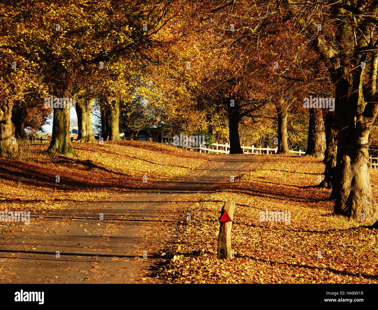 grounds and estate of stately home Stock Photo - Alamy