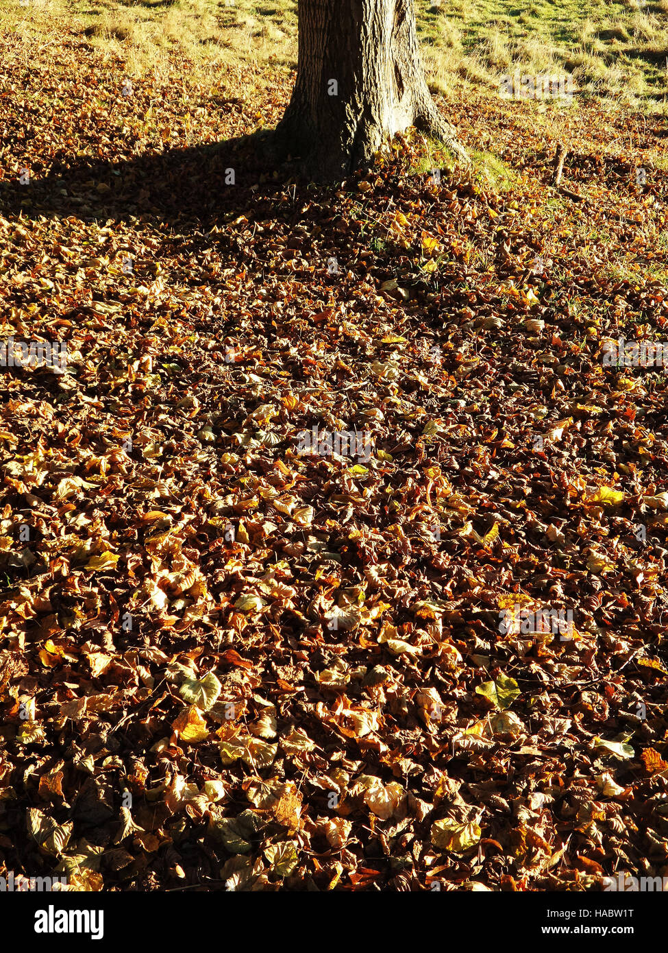 grounds and estate of stately home Stock Photo - Alamy