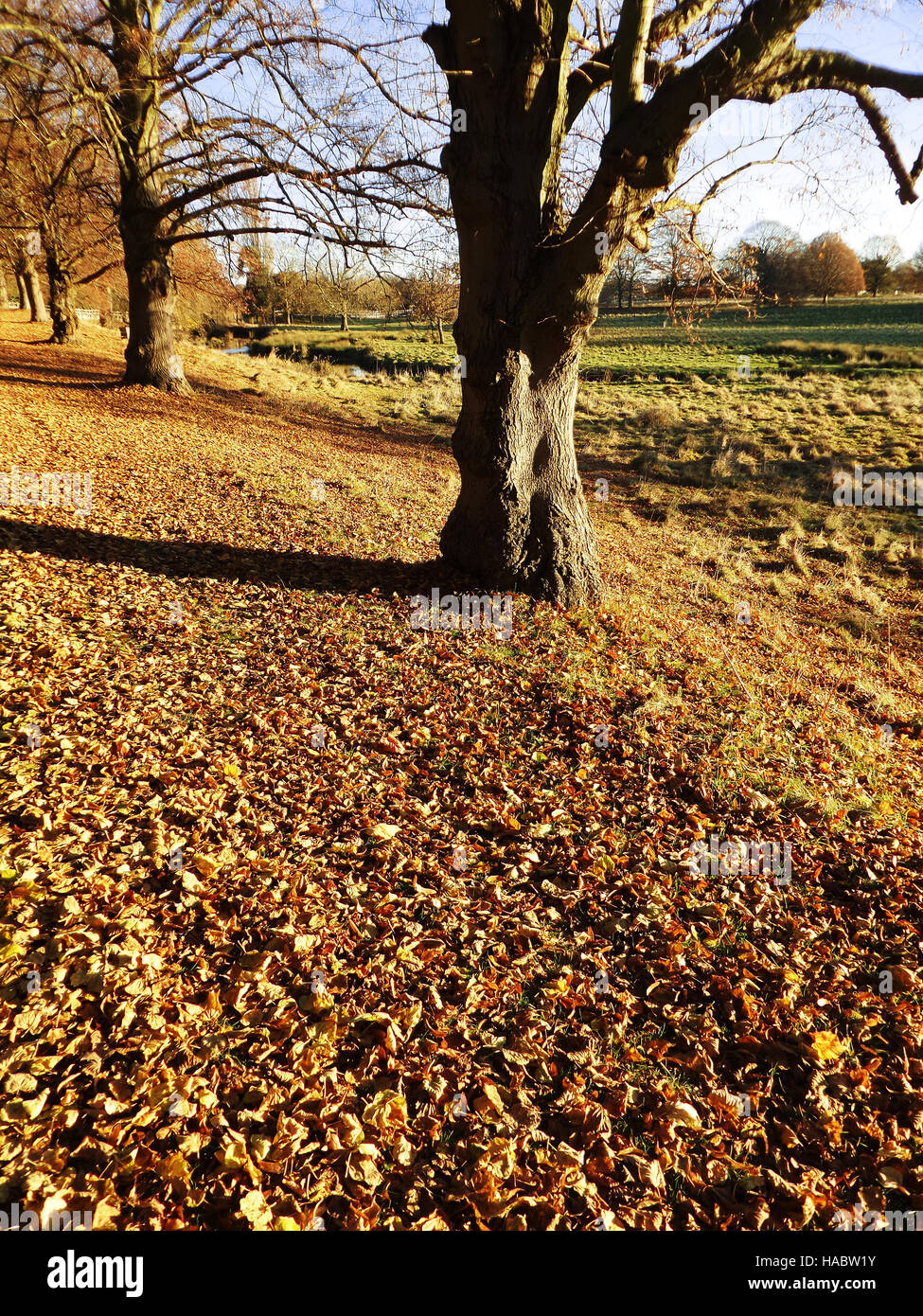 grounds and estate of stately home Stock Photo - Alamy