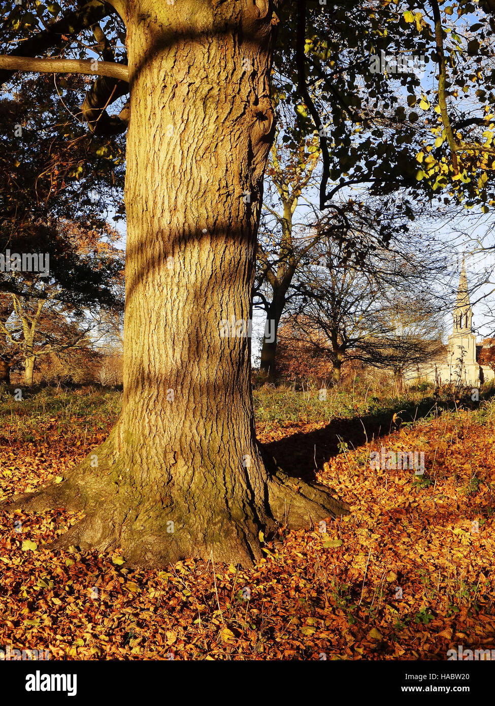 grounds and estate of stately home Stock Photo - Alamy