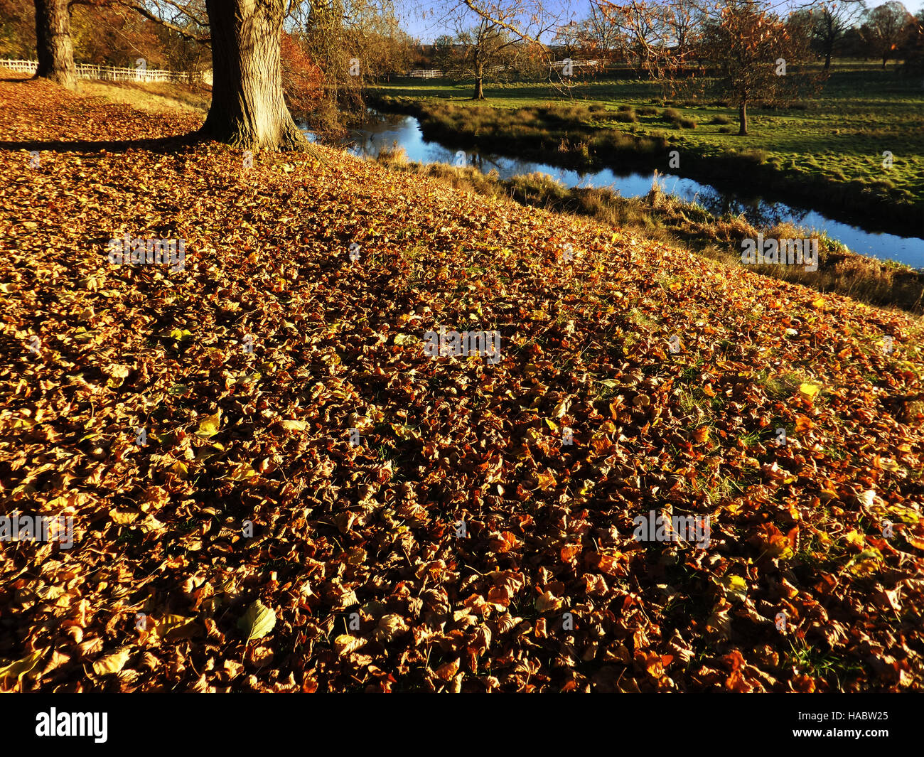 grounds and estate of stately home Stock Photo - Alamy