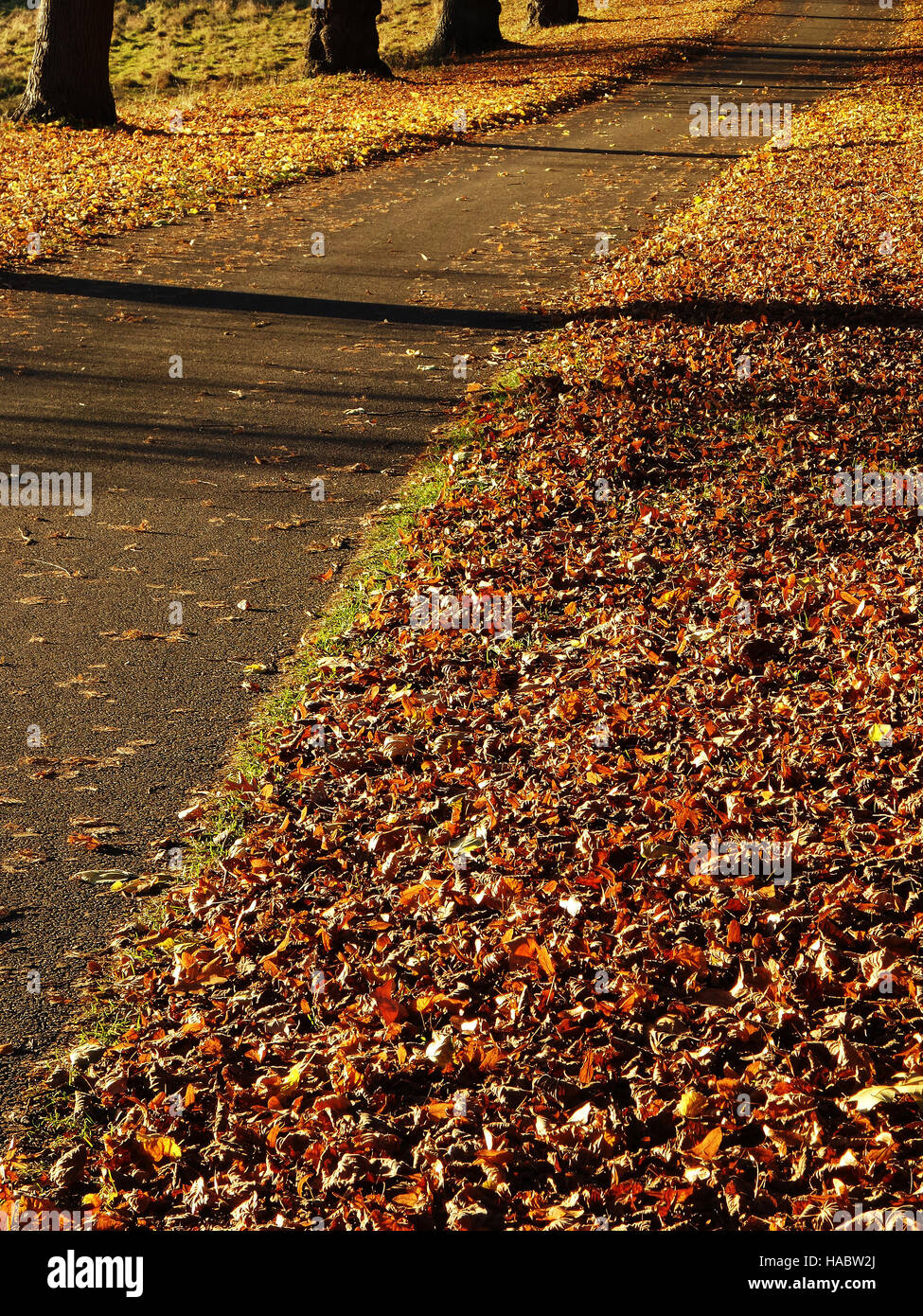 grounds and estate of stately home Stock Photo - Alamy