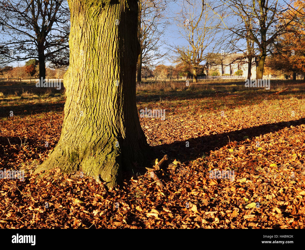 grounds and estate of stately home Stock Photo - Alamy