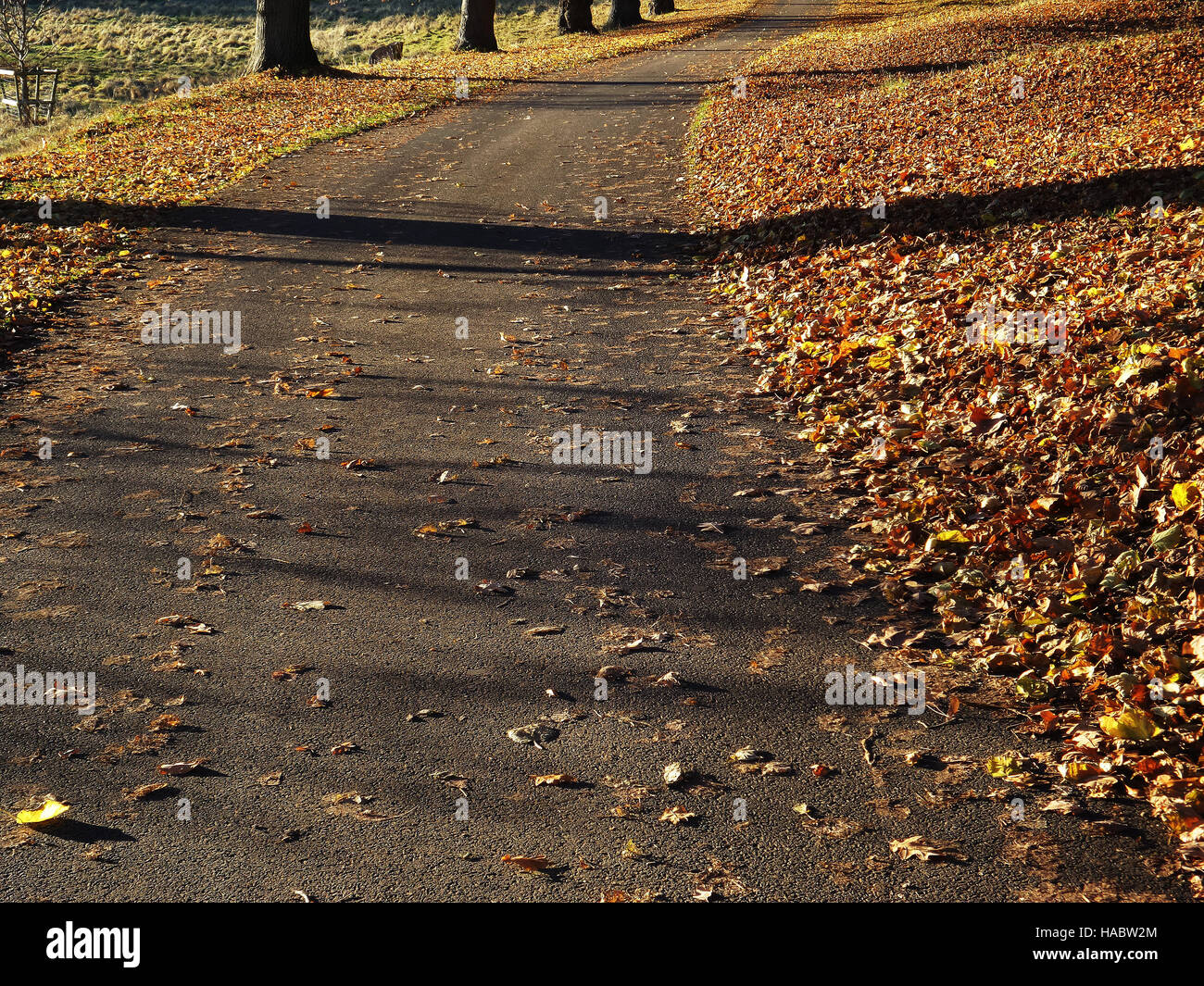 grounds and estate of stately home Stock Photo - Alamy