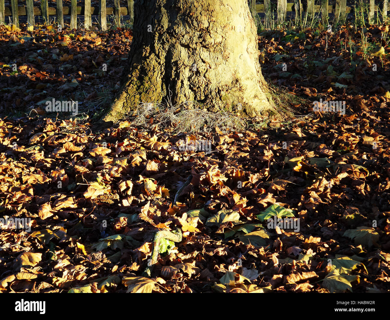 grounds and estate of stately home Stock Photo - Alamy