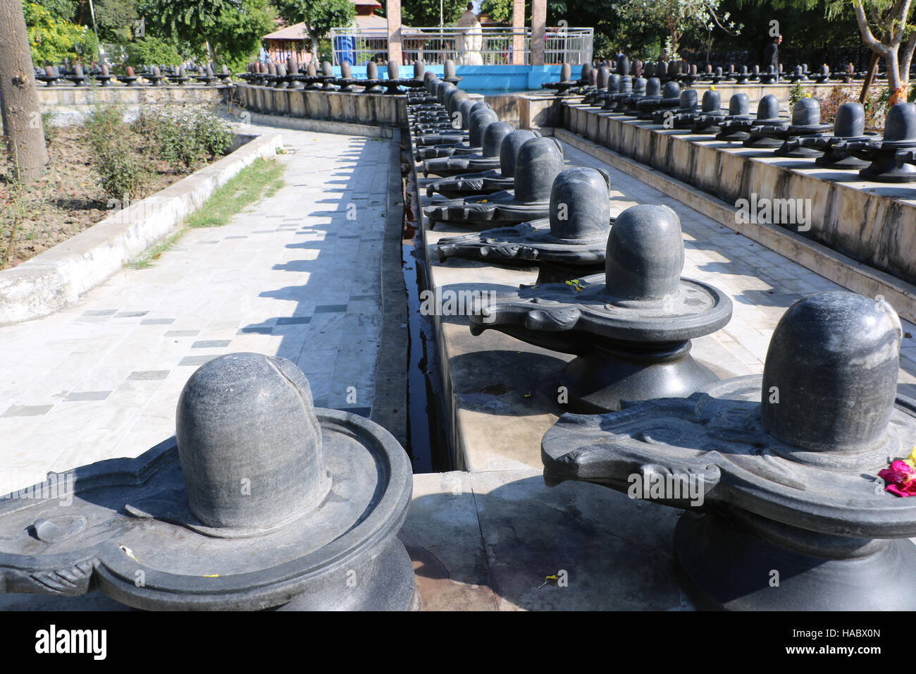 Hindu pilgrim the Shivpuri Dham Stock Photo - Alamy
