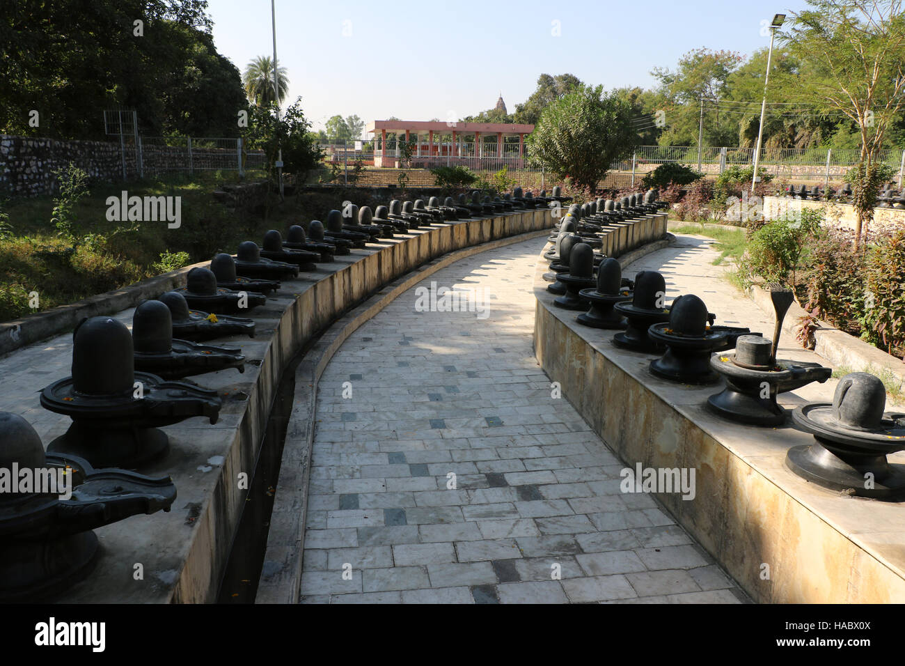 Hindu pilgrim the Shivpuri Dham Stock Photo - Alamy