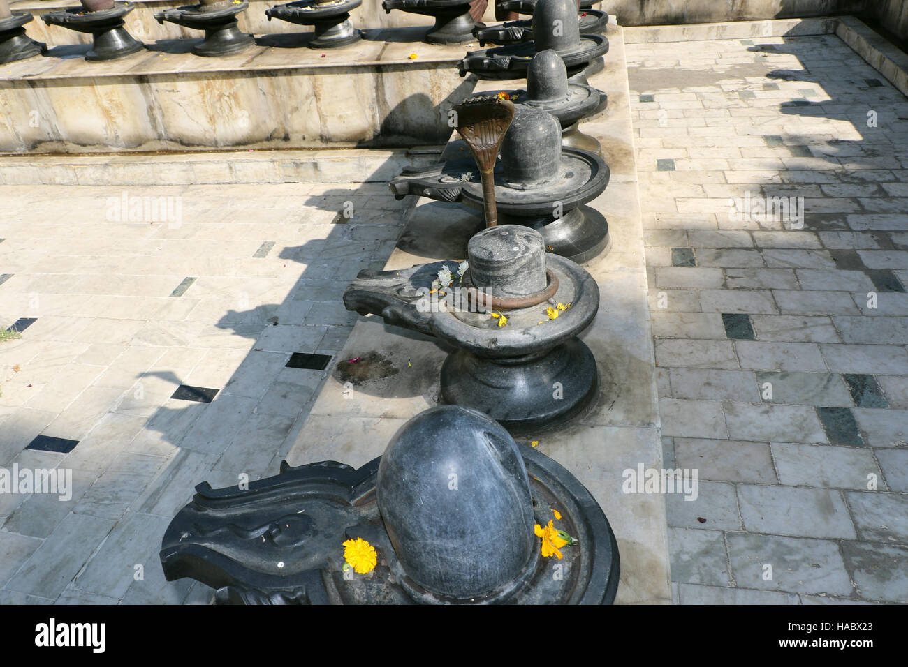 Hindu pilgrim the Shivpuri Dham Stock Photo - Alamy