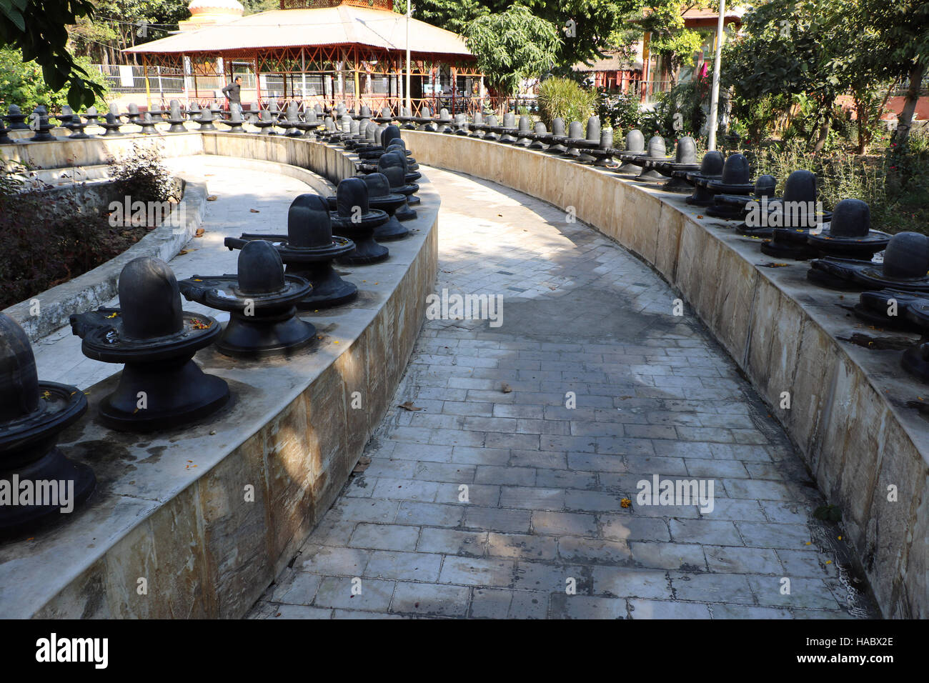 Hindu pilgrim the Shivpuri Dham Stock Photo - Alamy