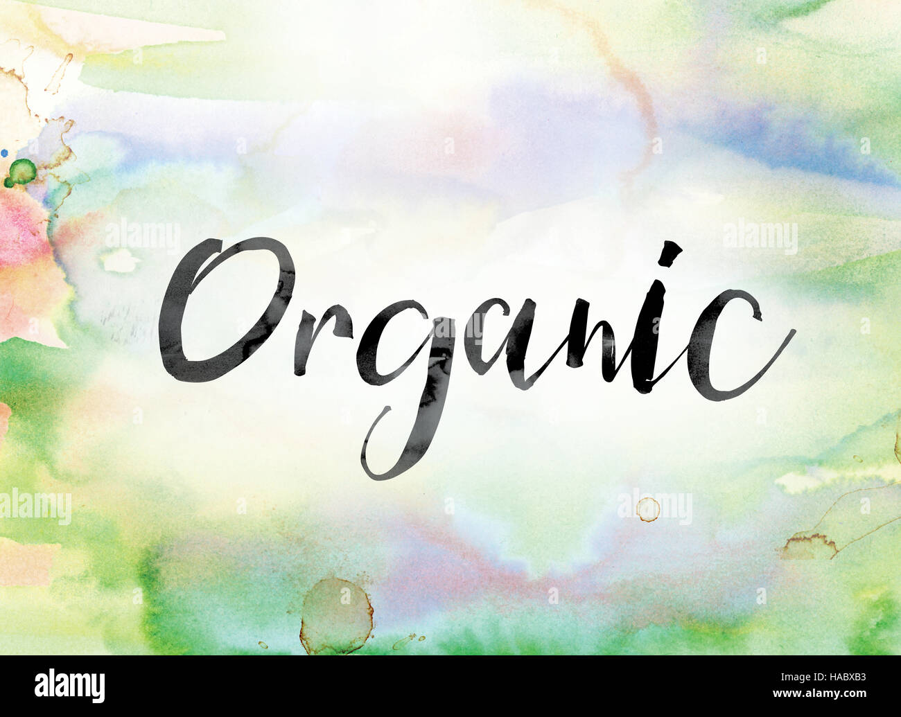 The word "Organic" painted in black ink over a colorful watercolor ...